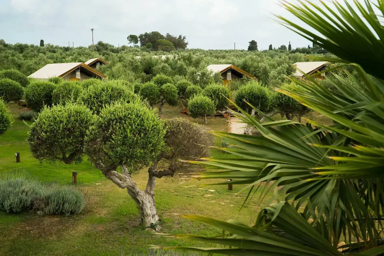 Agrikies Country Retreat, Marathopolis, Grèce (2025) | Réservez votre ...