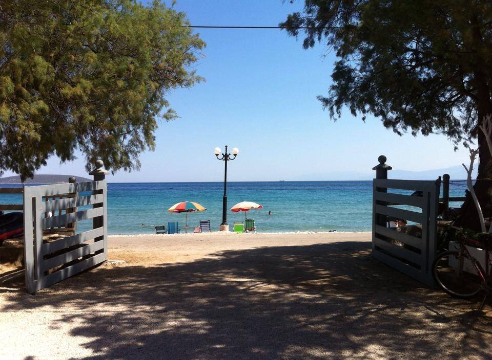 Assini Beach Camping in Drépanon, Greece (2025) | JetCamp.com