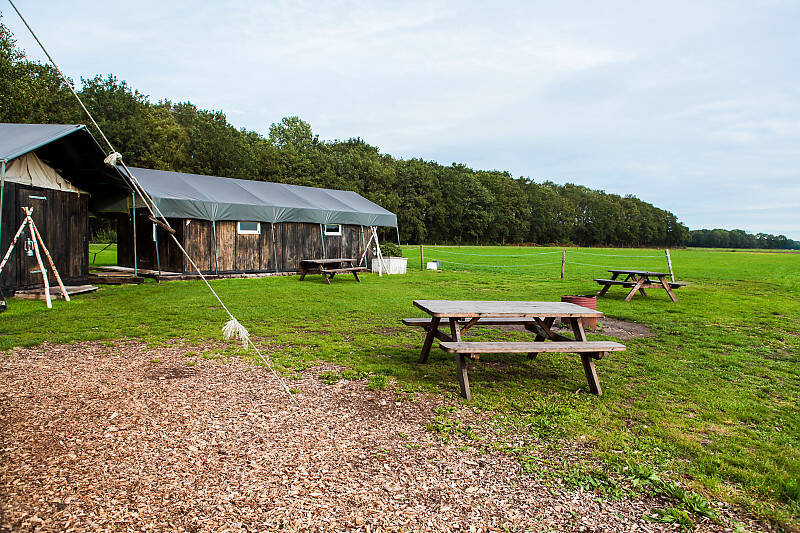 Camping Boerhaarshoeve in Grolloo, Nederland (2025) | JetCamp.com