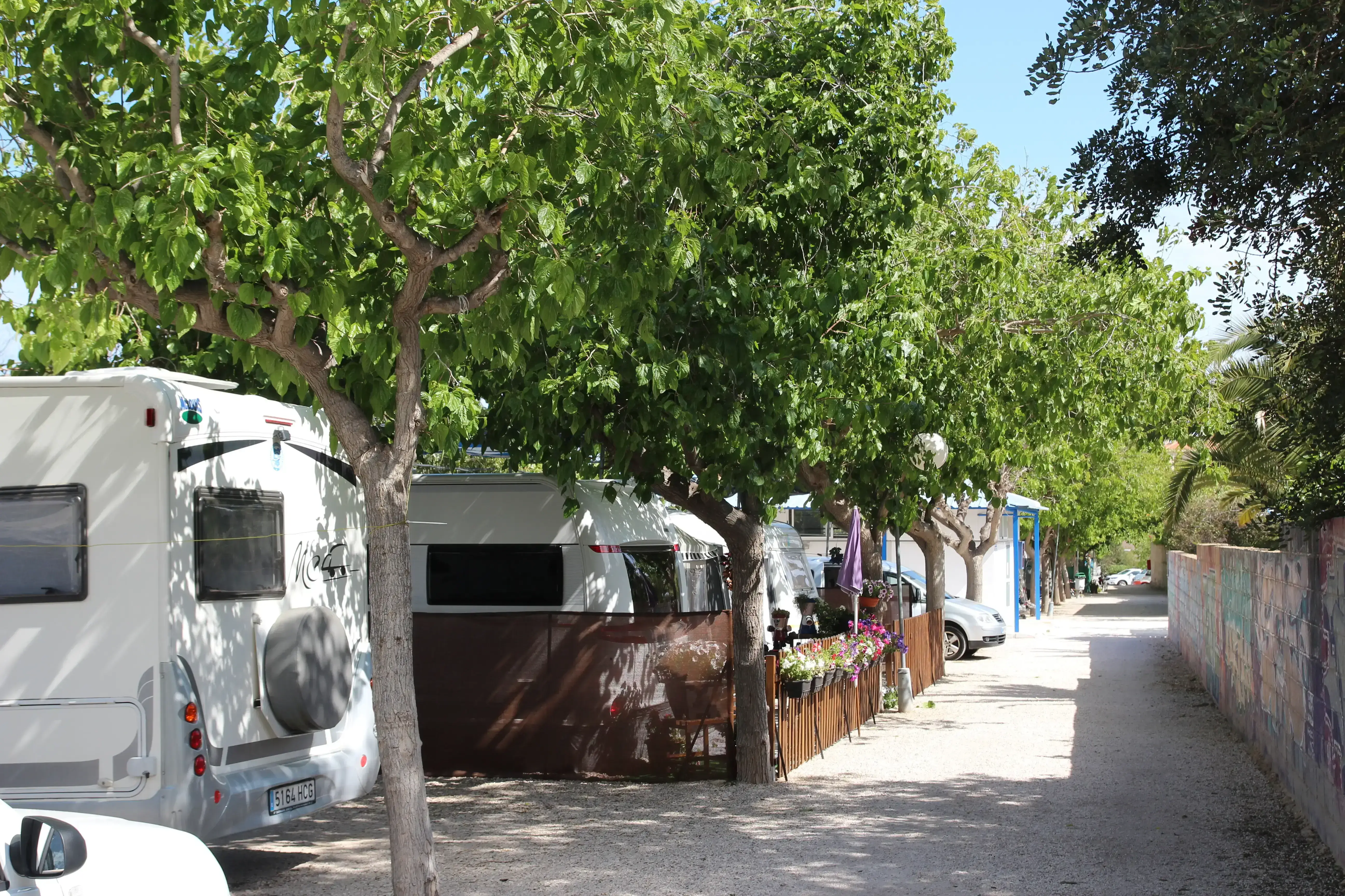 Camping Bon Sol in El Campello, Spanje (2025) | JetCamp.com