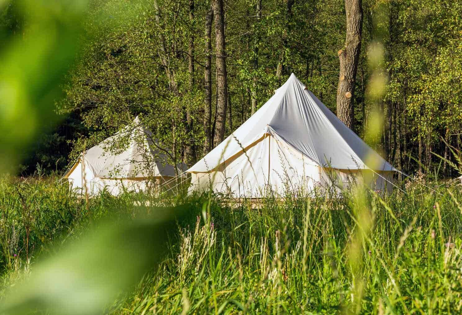Camping Boven het Maaiveld in Hoogwoud, Nederland (2025) | JetCamp.com