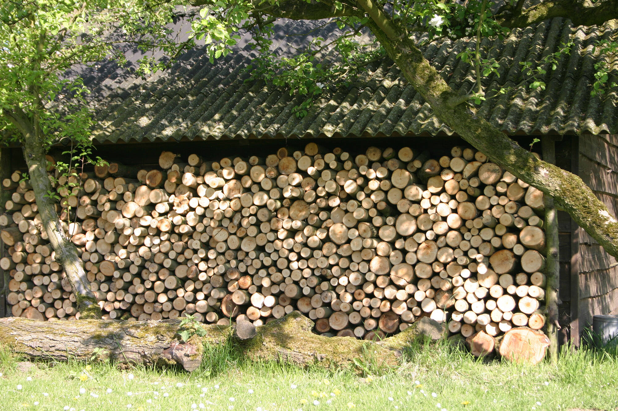 Camping De Pit in Rumpt, Netherlands (2025) | Book your camping on ...