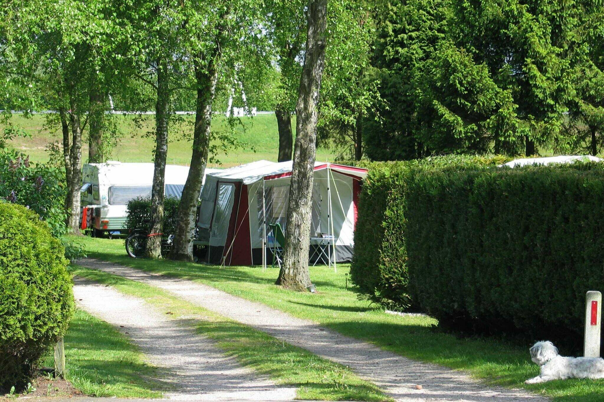 Camping de Wolfskuil in Lieren, Niederlande (2024) | JetCamp.com