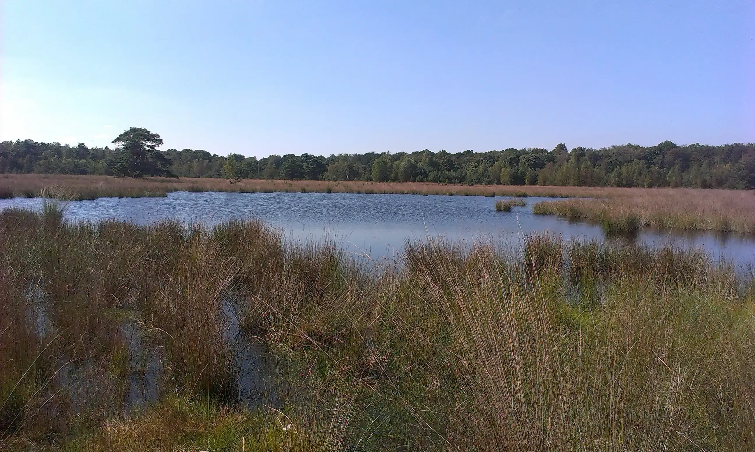 Camping het Leersumse Veld in Leersum, Netherlands (2026) | All ...