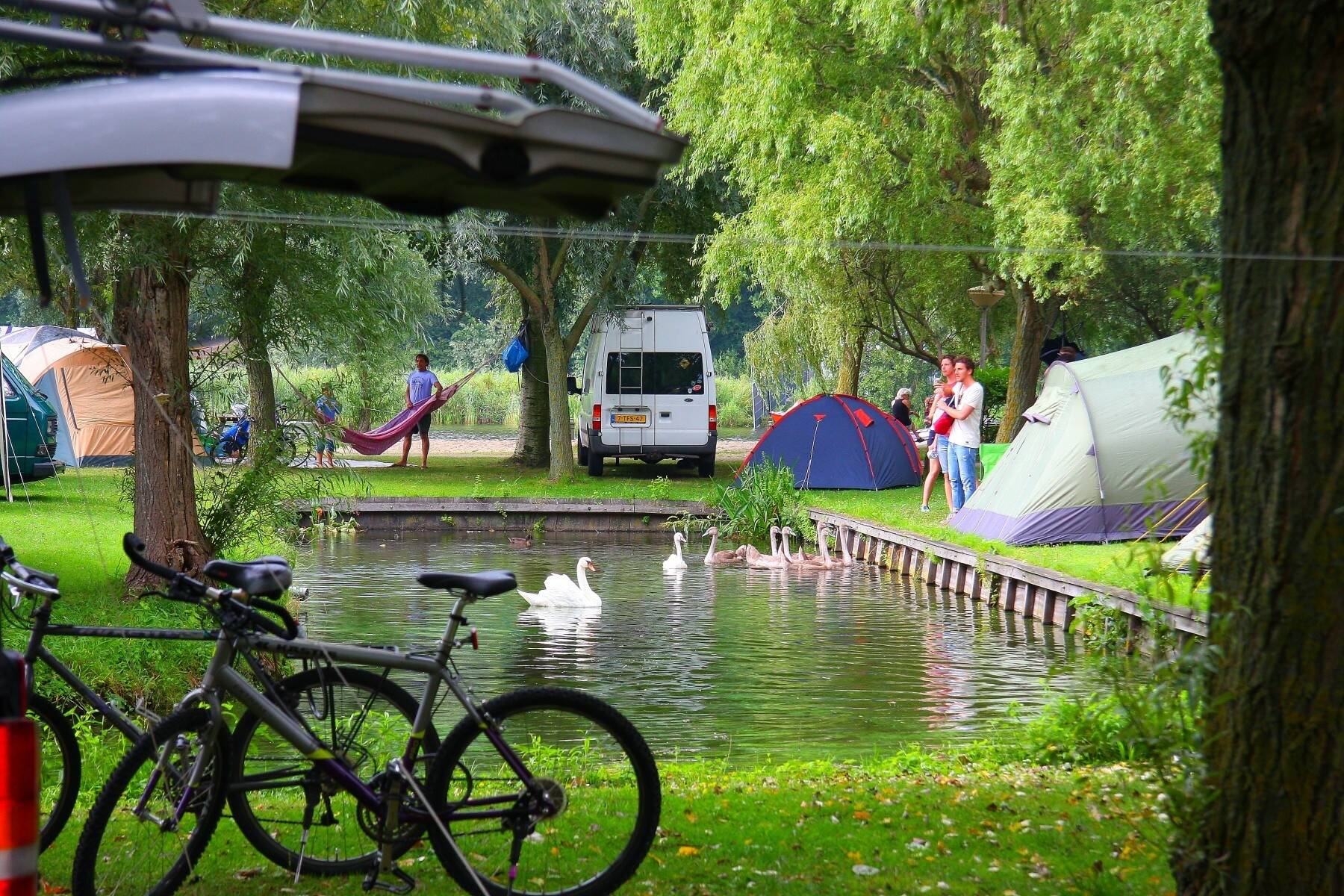 Camping het Rietveen in Landsmeer, Niederlande (2024) | JetCamp.com