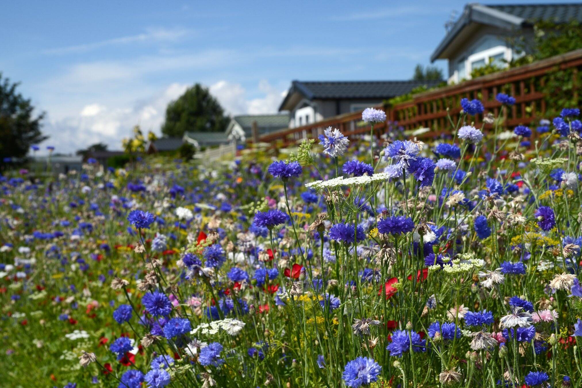Camping Holiday Resort Unity in Brean, UK (2025) | All campings on ...