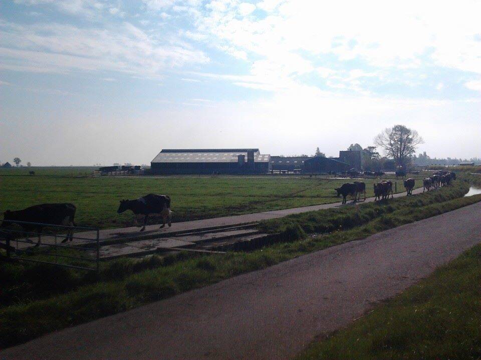 Camping Katwoude in Katwoude, Niederlande (2023) | Buchen Sie Ihren ...