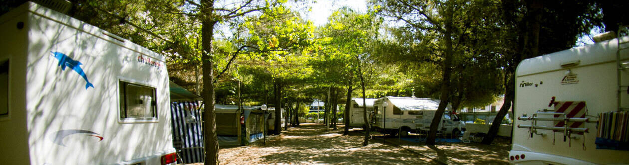 Camping La Pantera Rosa Village in Scalea, Italia (2025) | Prenota il ...