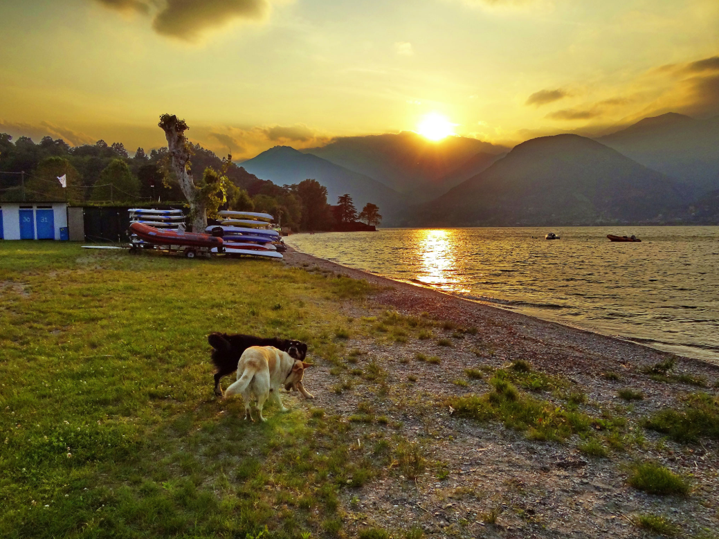 Camping Lido Di Colico in Colico Piano, Italy (2024) | JetCamp.com