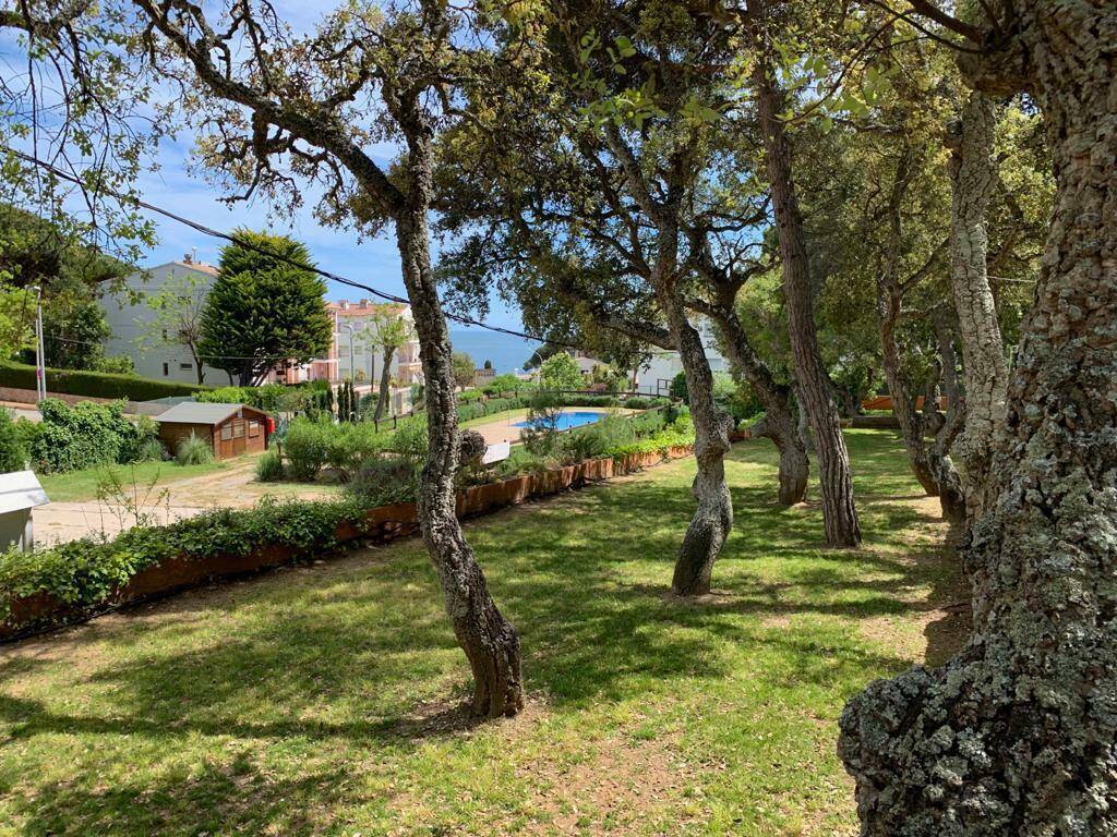 Camping Moby Dick in Calella de Palafrugell, Spanje (2025) | Boek jouw ...