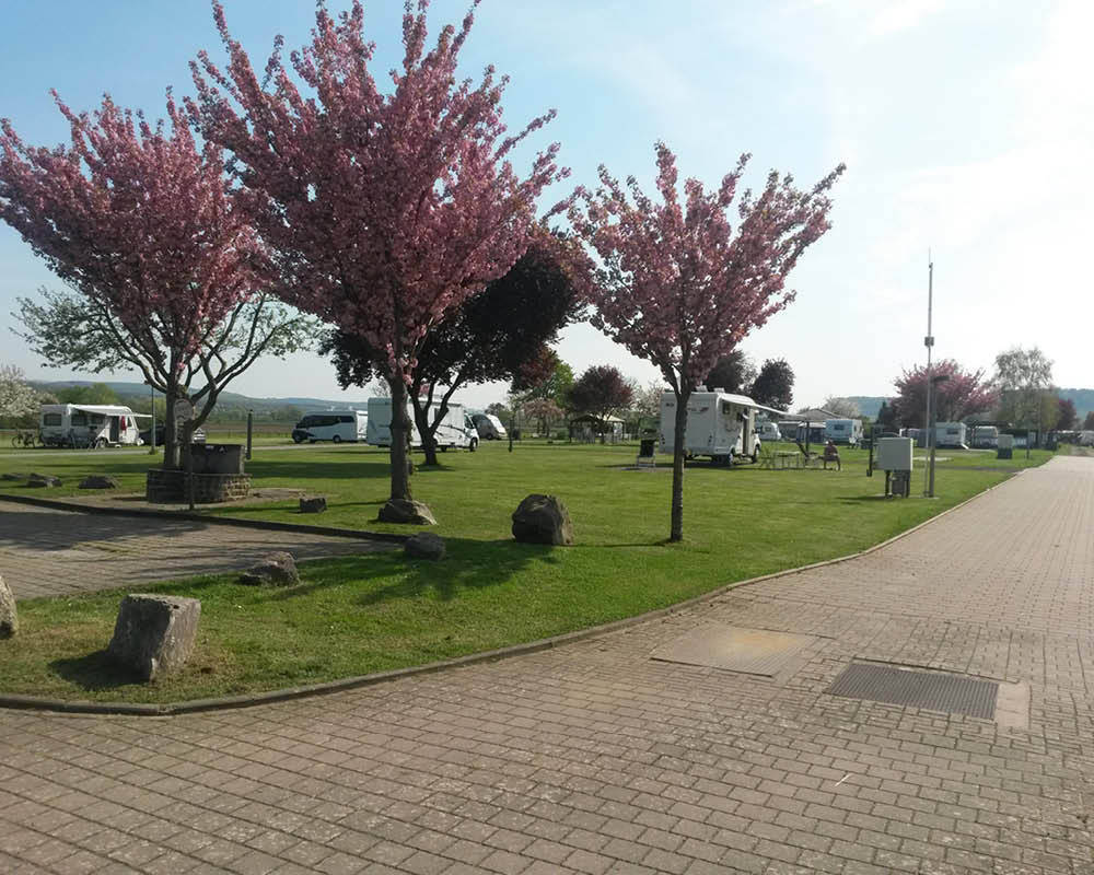 Camping Mosel Dreiländereck in Perl, Germany (2023) | JetCamp.com