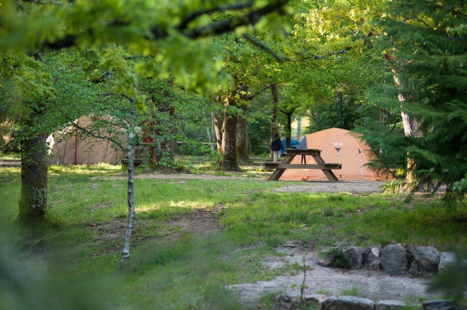 Camping Parque Cerdeira, Terras de Bouro, Portugal (2024) | Tous les ...