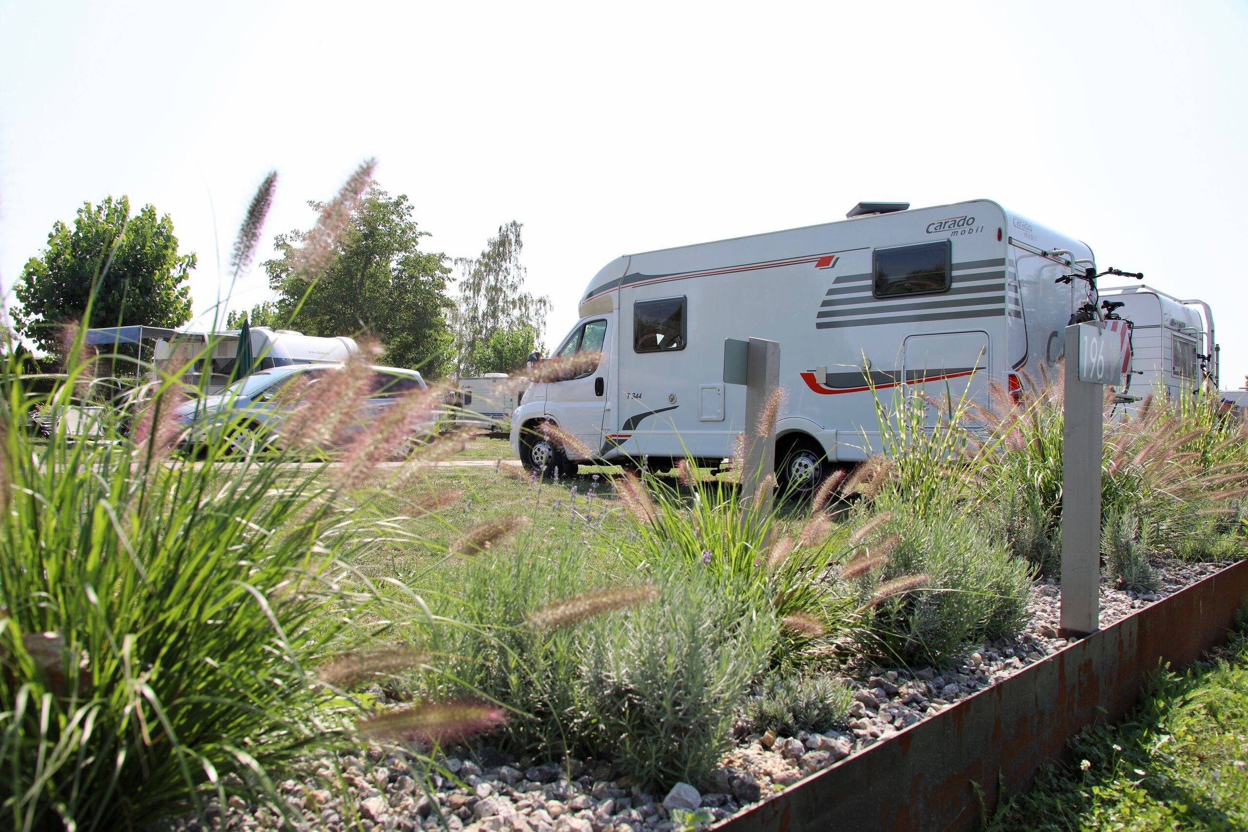 Camping Storchencamp Rust in Rust, Österreich (2025) | Buchen Sie Ihren ...