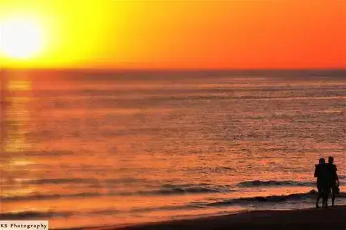 Camping Tholo Beach in Tholo, Griechenland (2026) | JetCamp.com