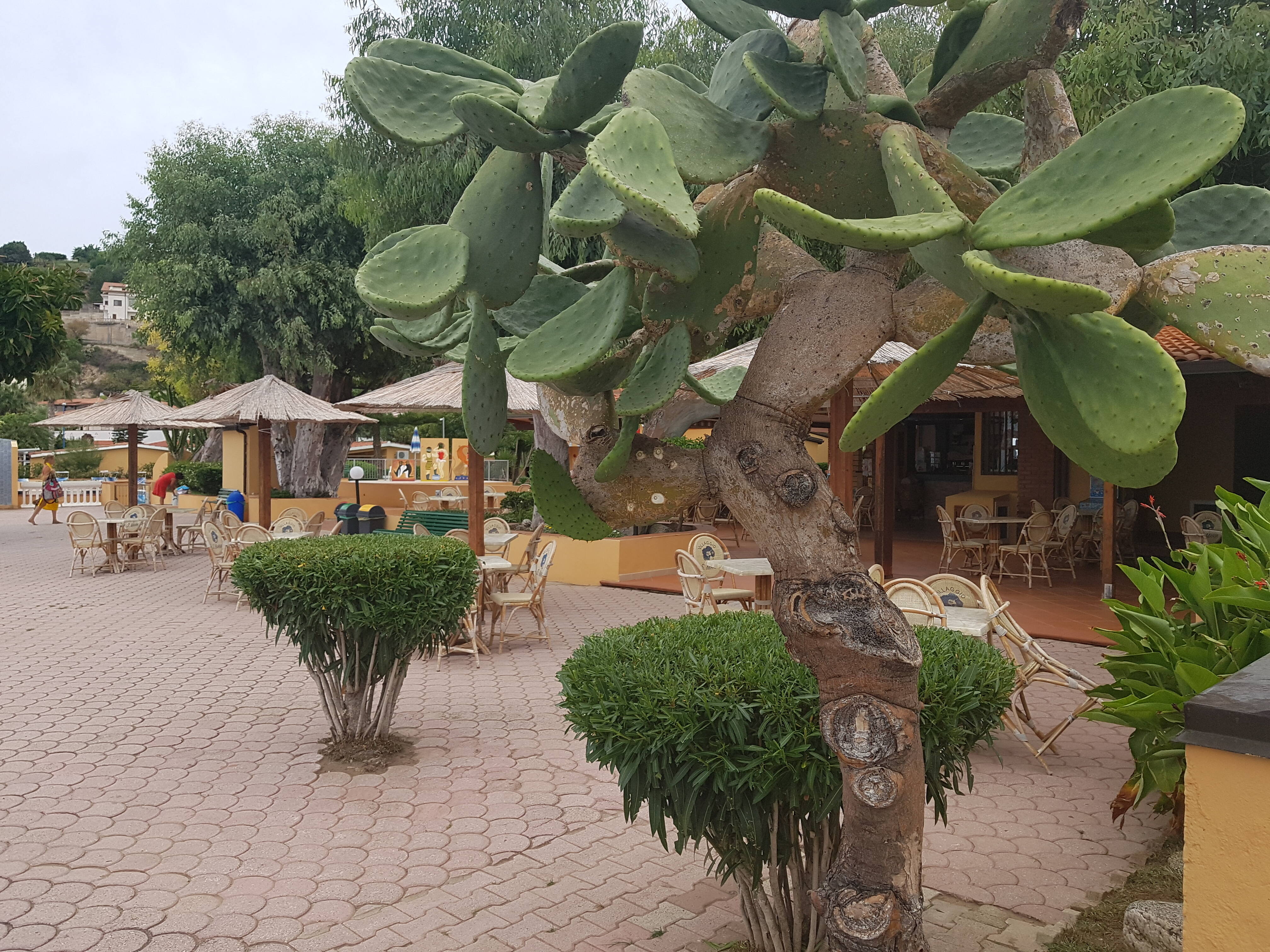 Camping Villaggio Santa Maria in Santa Maria, Italien (2025) | Alle ...