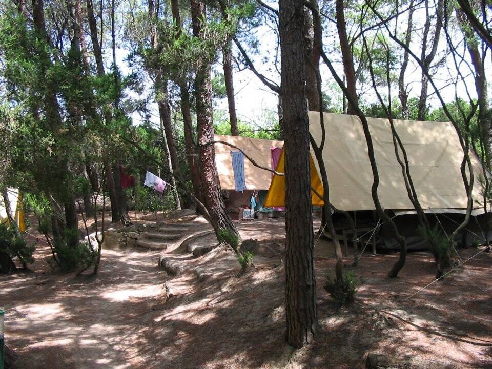 Camping Zidine in Rab, Kroatië (2025) | Alle campings op JetCamp.com
