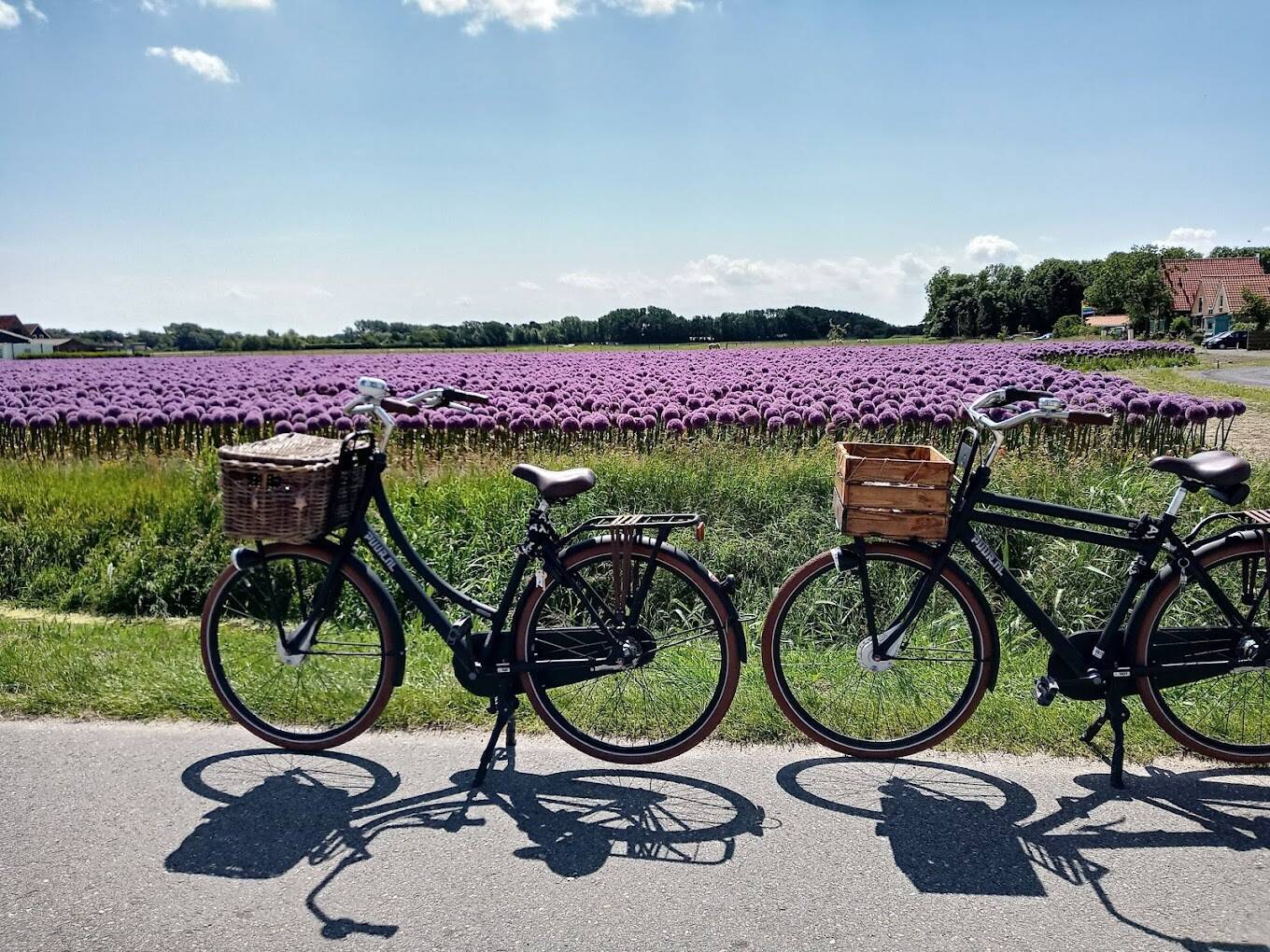 Camping Zomerdijk in Egmond a/d Hoef, Nederland (2025) | Alle campings ...