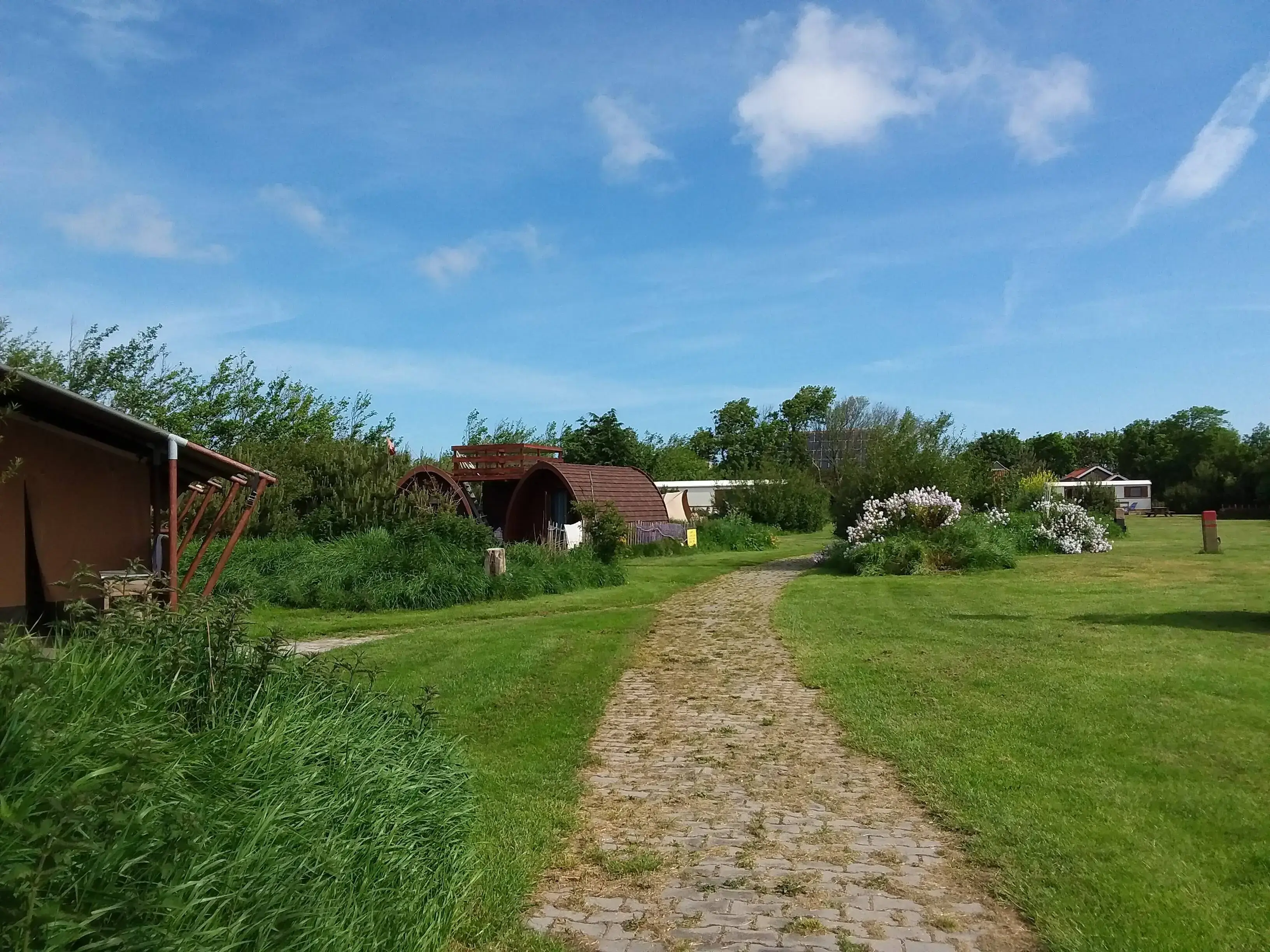 Eco-camping tussen Wad en Strand, Ballum, Holanda (2025) | Todos los ...