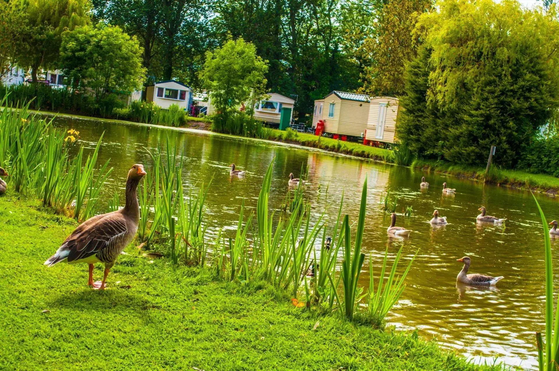 Haggerston Castle Holiday Park - Haven in Berwick-Upon-Tweed, UK (2026 ...