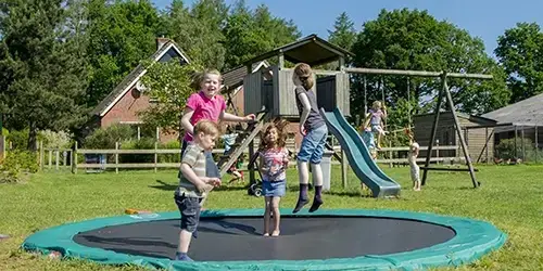 Minicamping 't Veld in Rekken, Niederlande (2026) | JetCamp.com