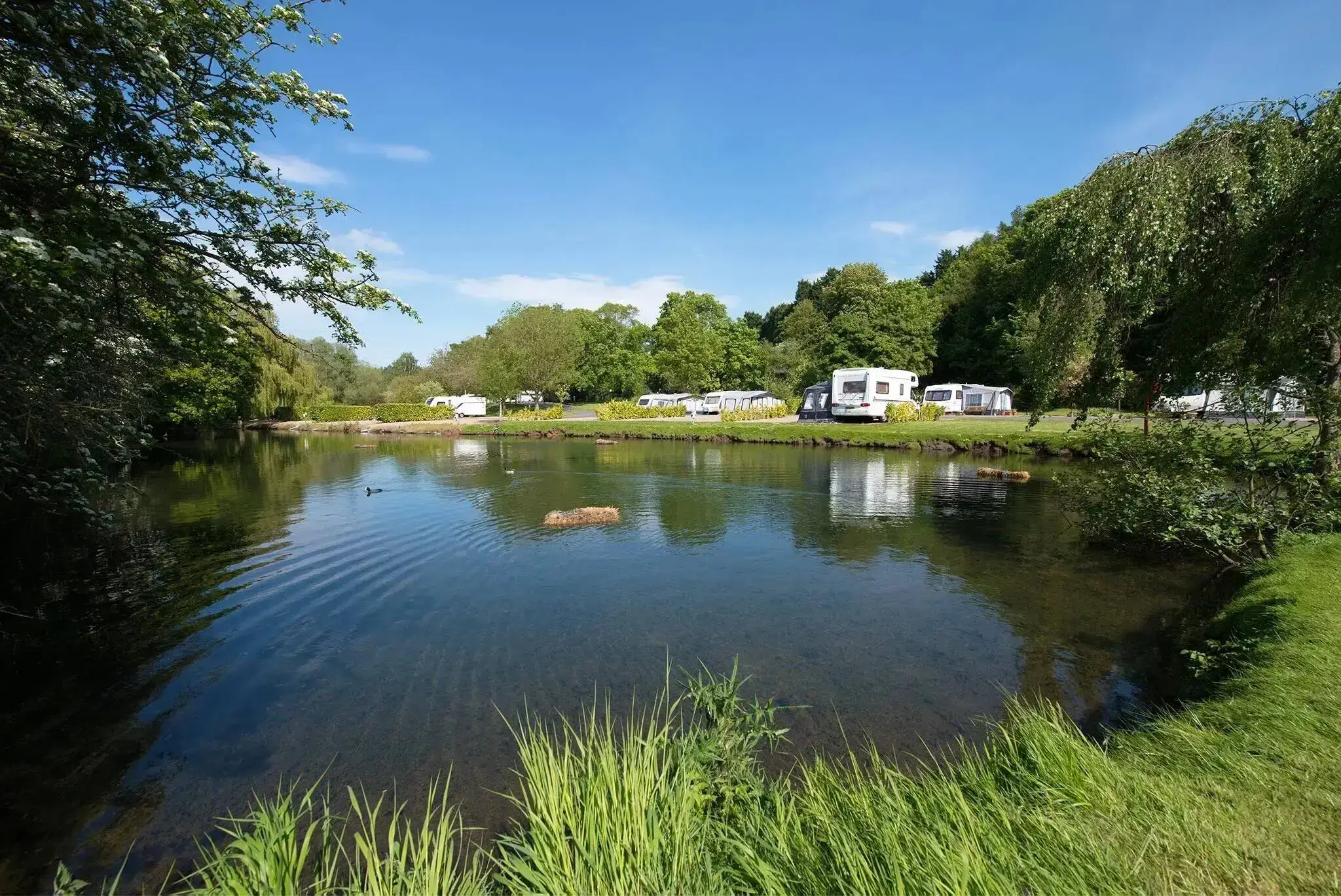 Sherwood Forest Holiday Park in Mansfield, UK (2025) | All campings on ...