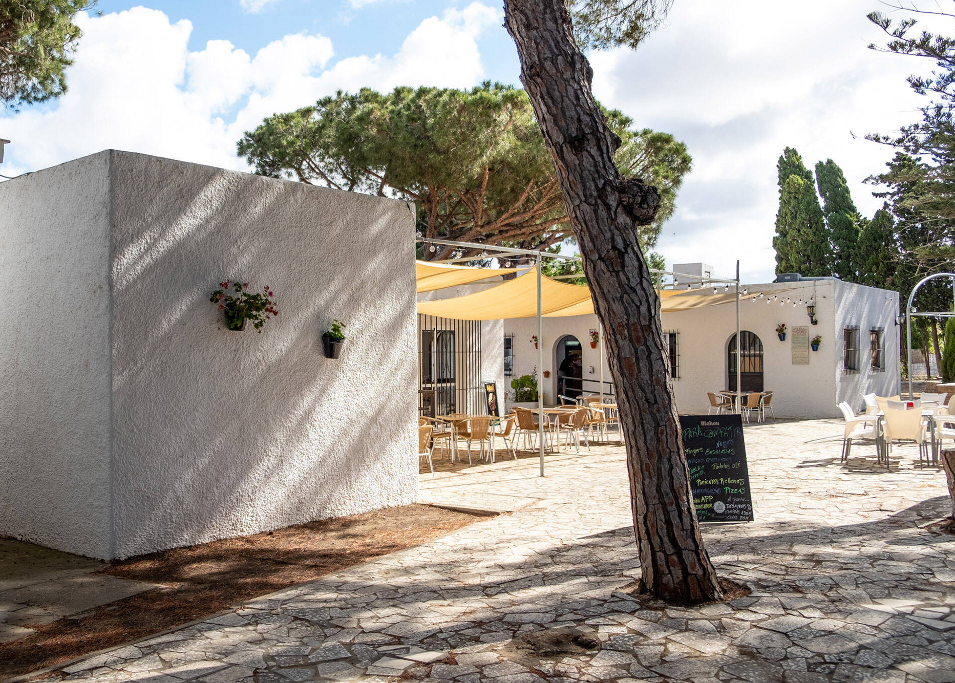 Taiga Conil in Conil de la Frontera, Spanje (2025) | Boek jouw camping ...