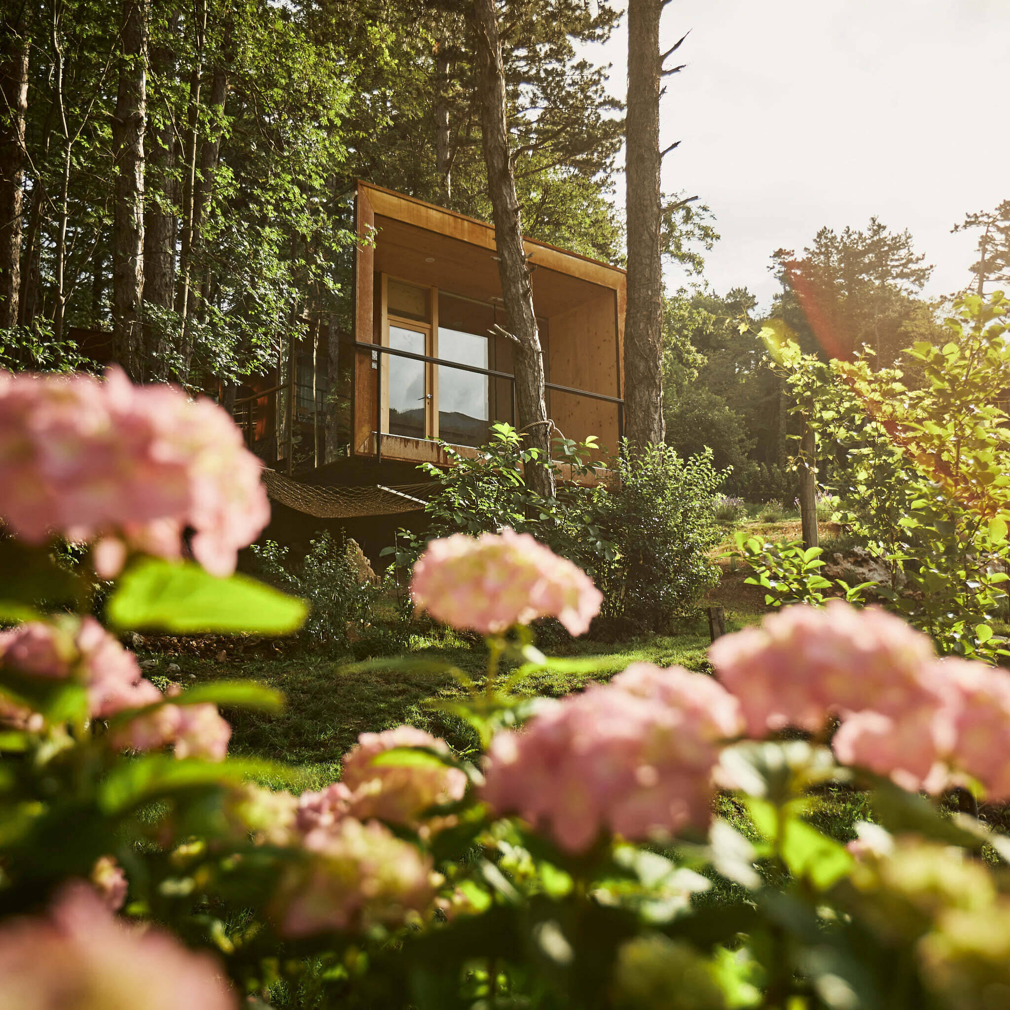 Theodosius Forest Village in Vipava, Slowenien (2024) | JetCamp.com