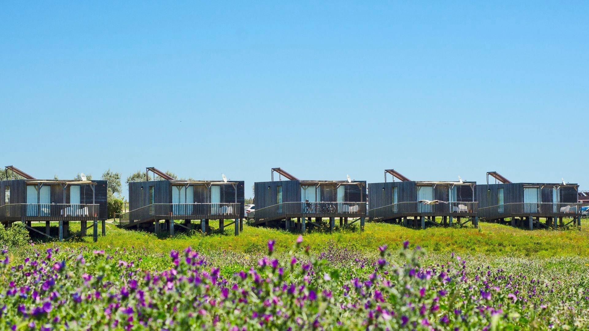 Zmar Eco Experience em Odemira, Portugal (2025) | Todos os acampamentos ...